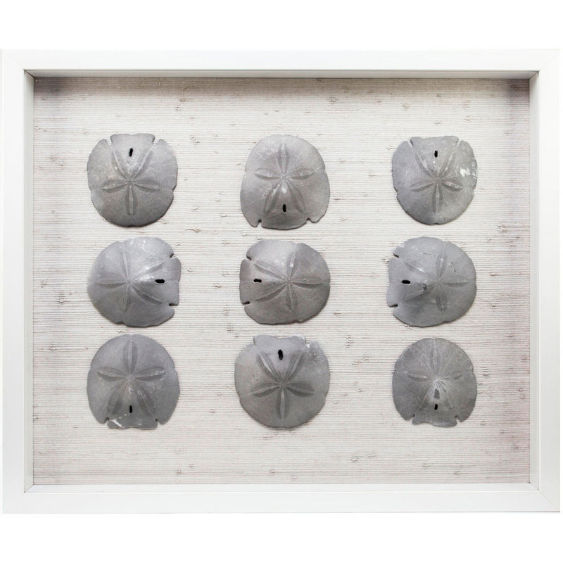 Jamie Dietrich Sand Dollars - Shadow Box Graphic Art on Fabric | Wayfair